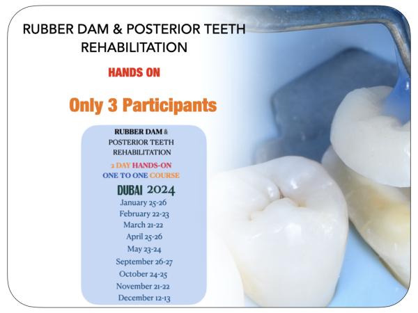 ONE TO ONE COURSES - Dr. Calin Pop